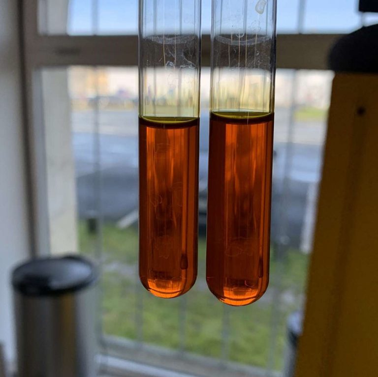 Extrait de Rocou hydrosoluble C24 - Colorants NaturelsColorants ...